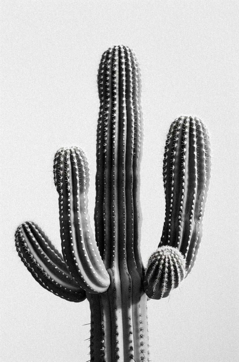 Malibu Fox Women's Boutique – Malibu Fox Boutique